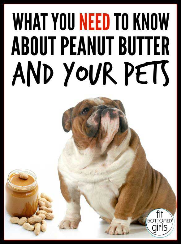 pets-peanut-butter-585