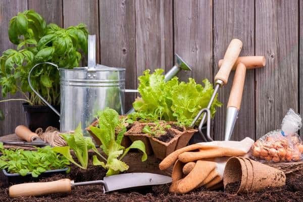 7 Frugal Gardening Tips for Beginners - Retro Housewife Goes Green