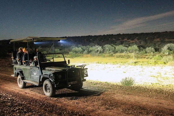 NIGHT SAFARI - BUFFELSDRIFT OUDTSHOORN | Tours and Tickets SA