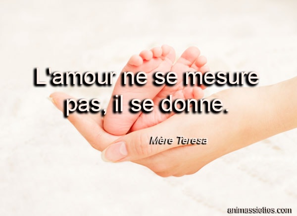 L’amour ne se mesure pas… – Animassiettes