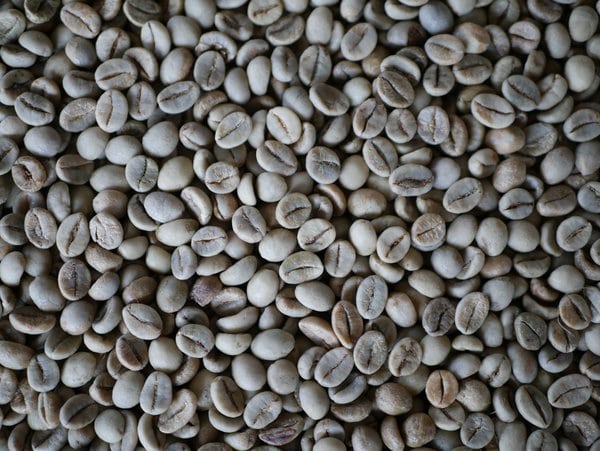 Zielona kawa z Indii - India Kaapi Royale - 2kg - Palarnia Kawy | Sklep ...