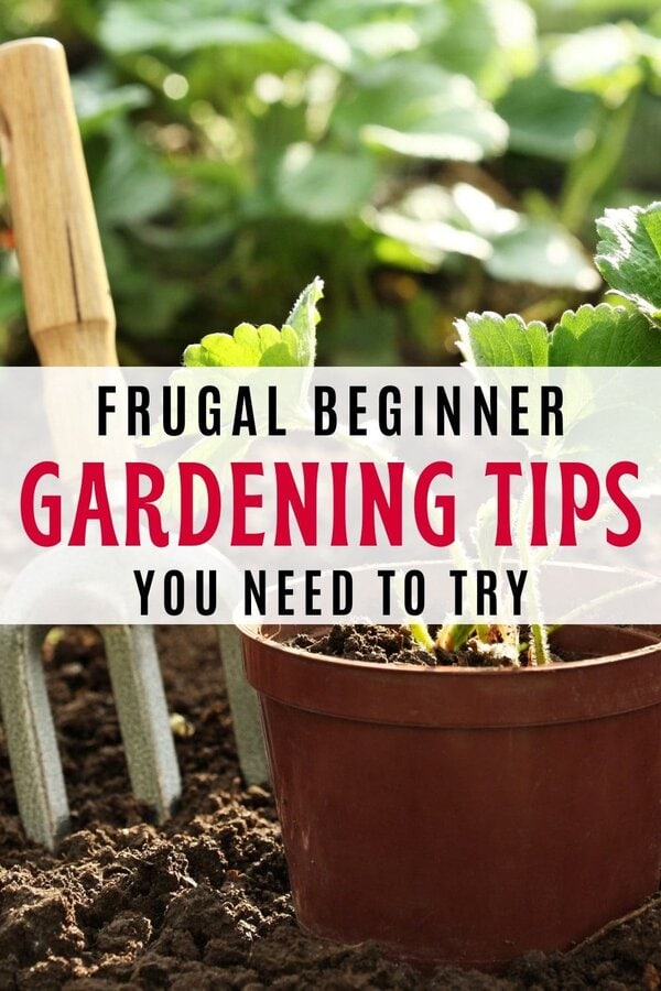 7 Frugal Gardening Tips for Beginners - Retro Housewife Goes Green
