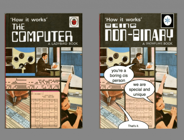 Non-binary- stunning & brave, just like everyone else -Lily Maynard