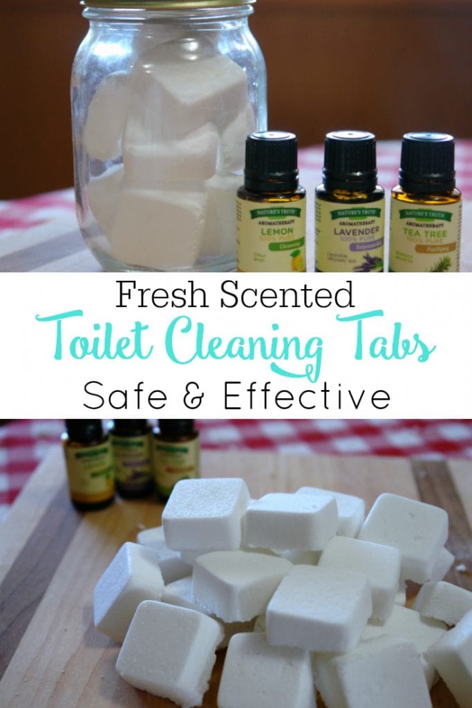 Toilet Cleaner Tabs - Retro Housewife Goes Green