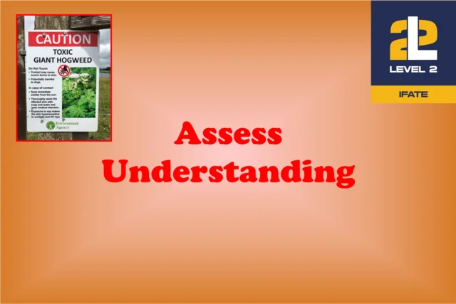 IFATE – K2 Invasive Plant Species (a) – Road to Learning