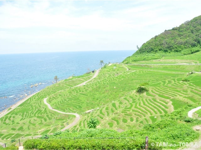 白米千枚田（石川県 奥能登）にある棚田の絶景で元気充電！ - 旅のトビラ