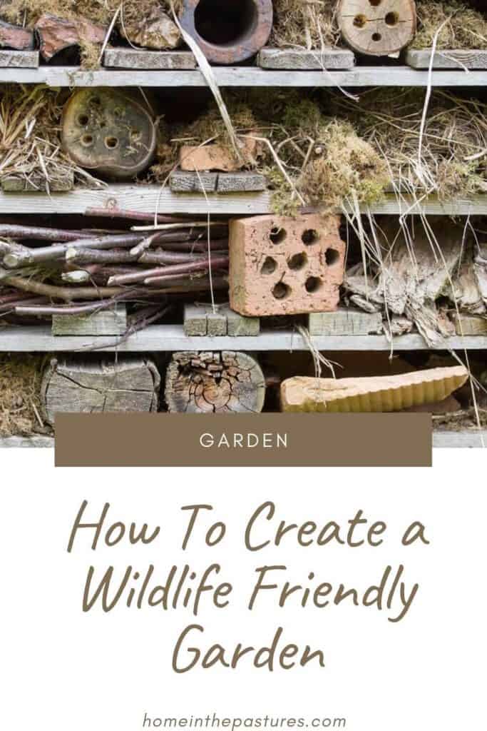 How To Create a Wildlife-Friendly Garden In 7 Ways
