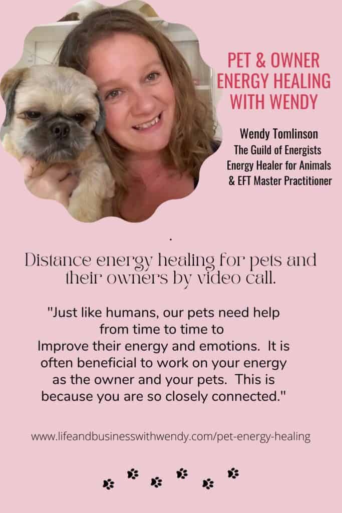 ENERGY HEALING FOR PETS