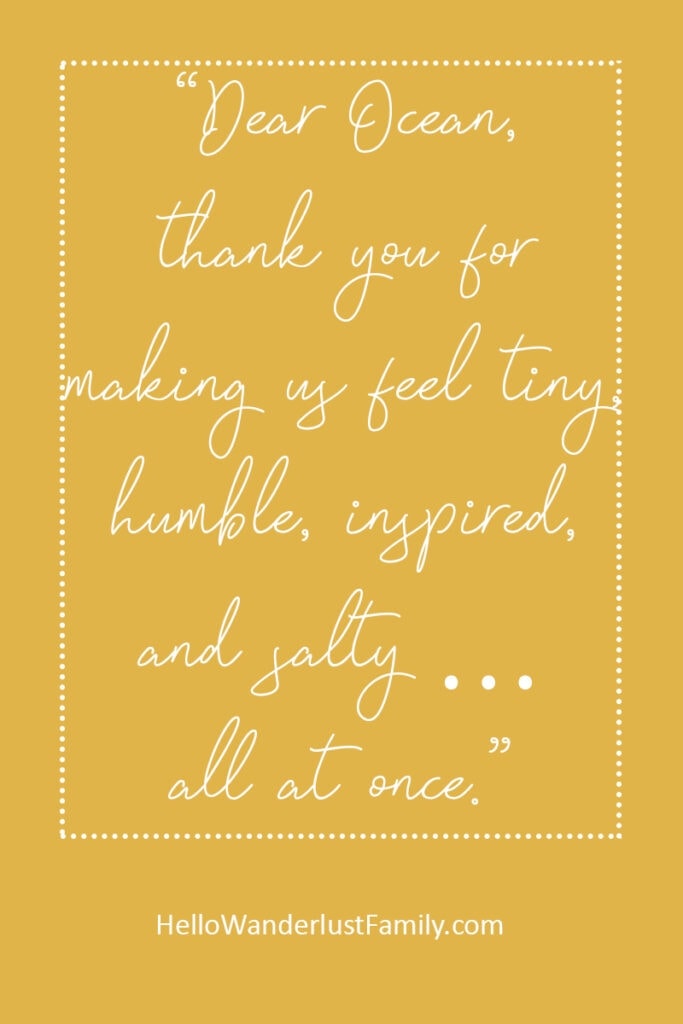 The Best Inspirational Beach Quotes (You’re Going To Love These ...