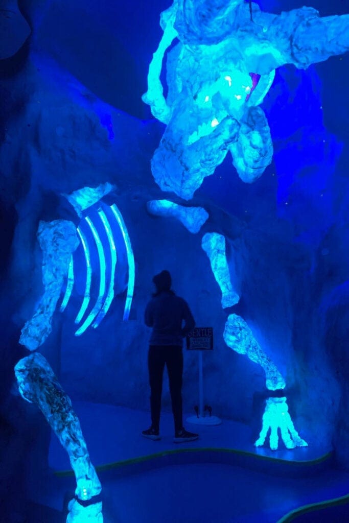 Meow Wolf Santa Fe – Ultimate Guide | Hello Wanderlust Family