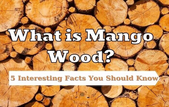 What Is Mango Wood? 5 Interesting Facts You Should Know