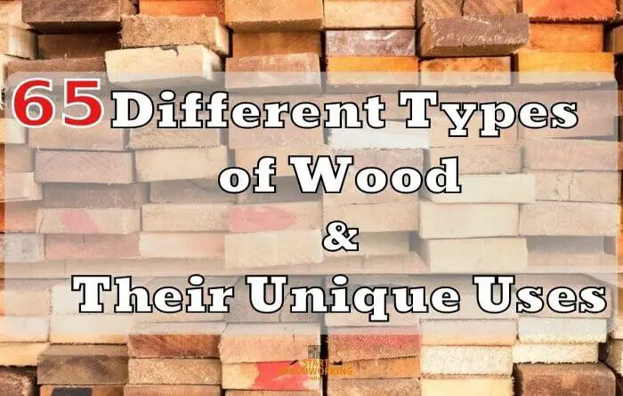 65 Different Types of Wood and Their Unique Uses [ Special]