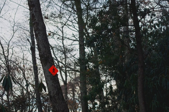 How To Hike Profile Trail To MacRae Peak On Grandfather Mountain