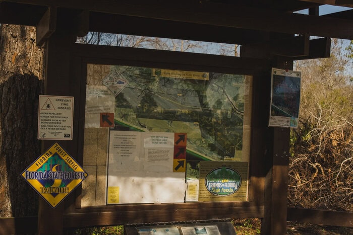 How To Hike The Point Washington State Forest Eastern Lake Trail System