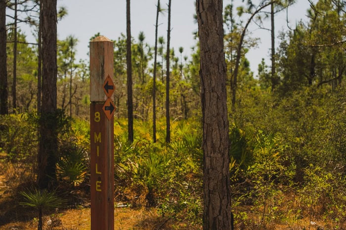 How To Hike The Point Washington State Forest Eastern Lake Trail System