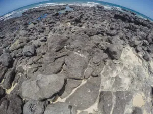 How To Hike The Kaena Point Trail On Oahu, Hawaii