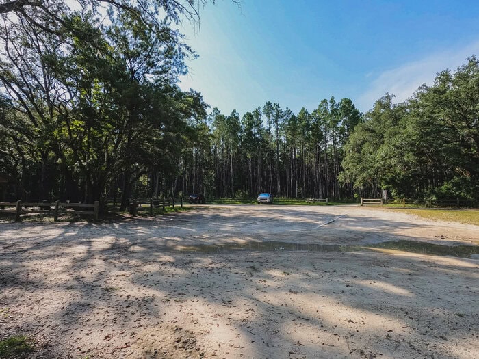 A Complete Guide On How To Get To Cypress Spring Without A Tour