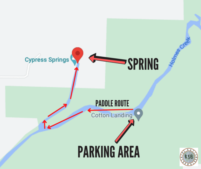 A Complete Guide On How To Get To Cypress Spring Without A Tour