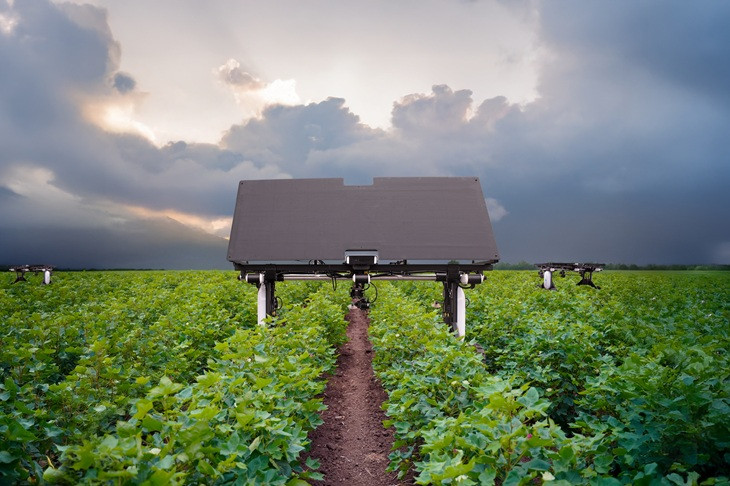 Aigen launches solar-powered Element gen2 robot for weeding crops ...