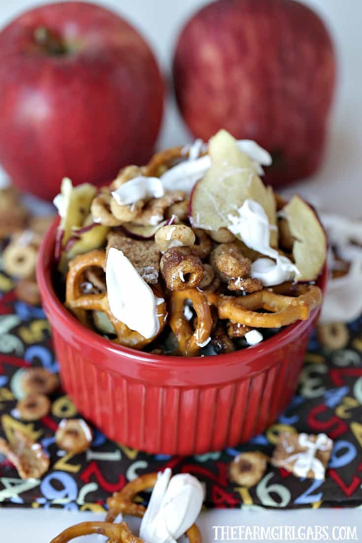 Honey Nut Cheerios™ Apple Pie Snack Mix - The Farm Girl Gabs®
