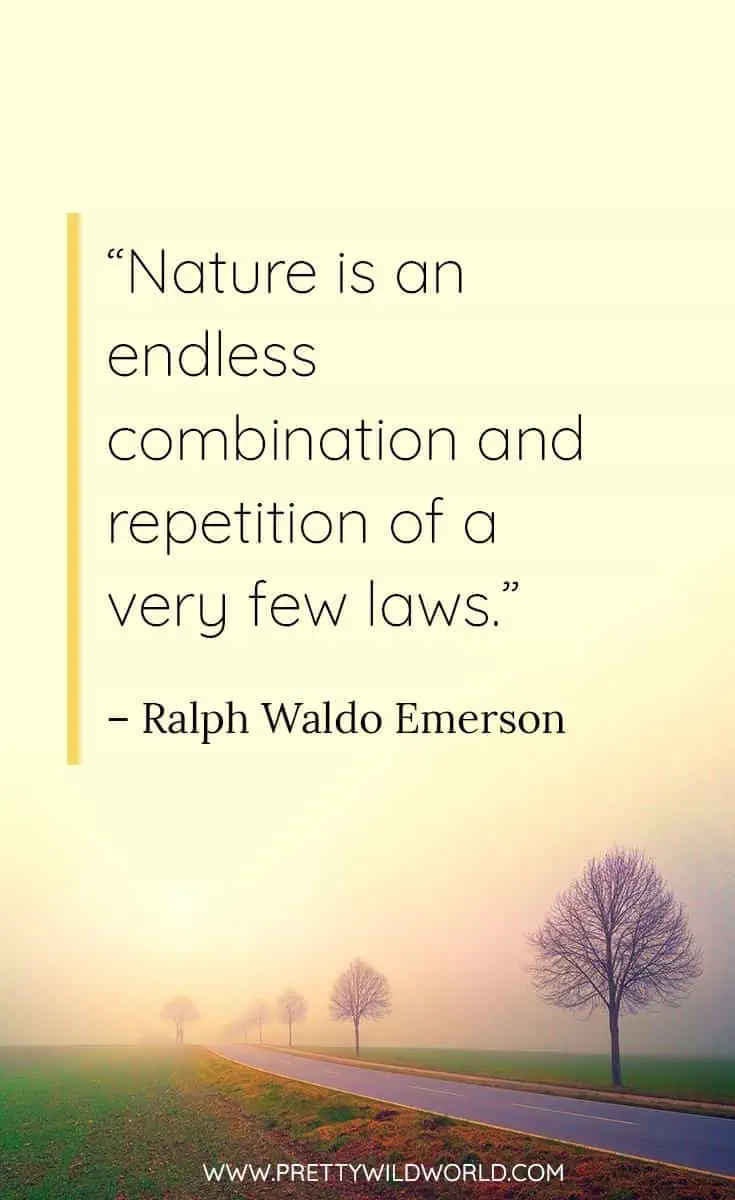 Best Nature Quotes: Top 35 Quotes About Nature and Life
