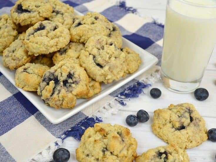10 Vintage Cookie Recipes You Need to Bake - Retro Housewife Goes Green
