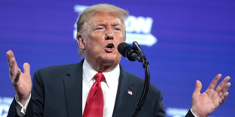 The psychological puzzle of Donald Trump: Eye-opening findings from 20 ...