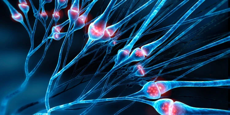 New study reveals complex touch responses in autism spectrum disorder