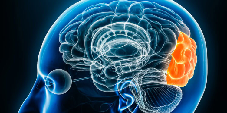 Screen time during infancy can reshape children's brains and emotional ...