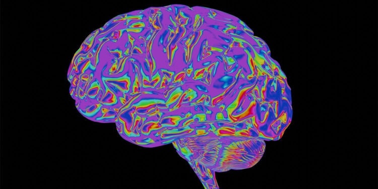 Psilocybin and SSRIs treat depression via distinct brain mechanisms ...