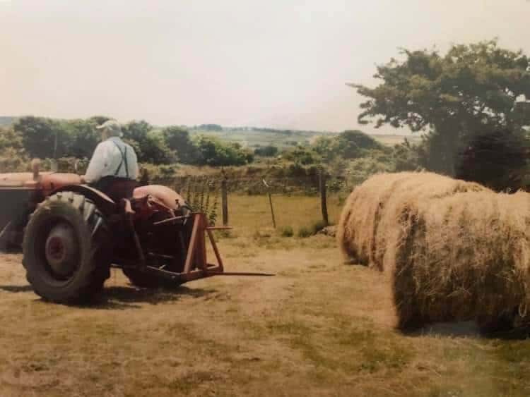 Square Hay Bales: Large or Small? What You Need to Know - Home In The ...