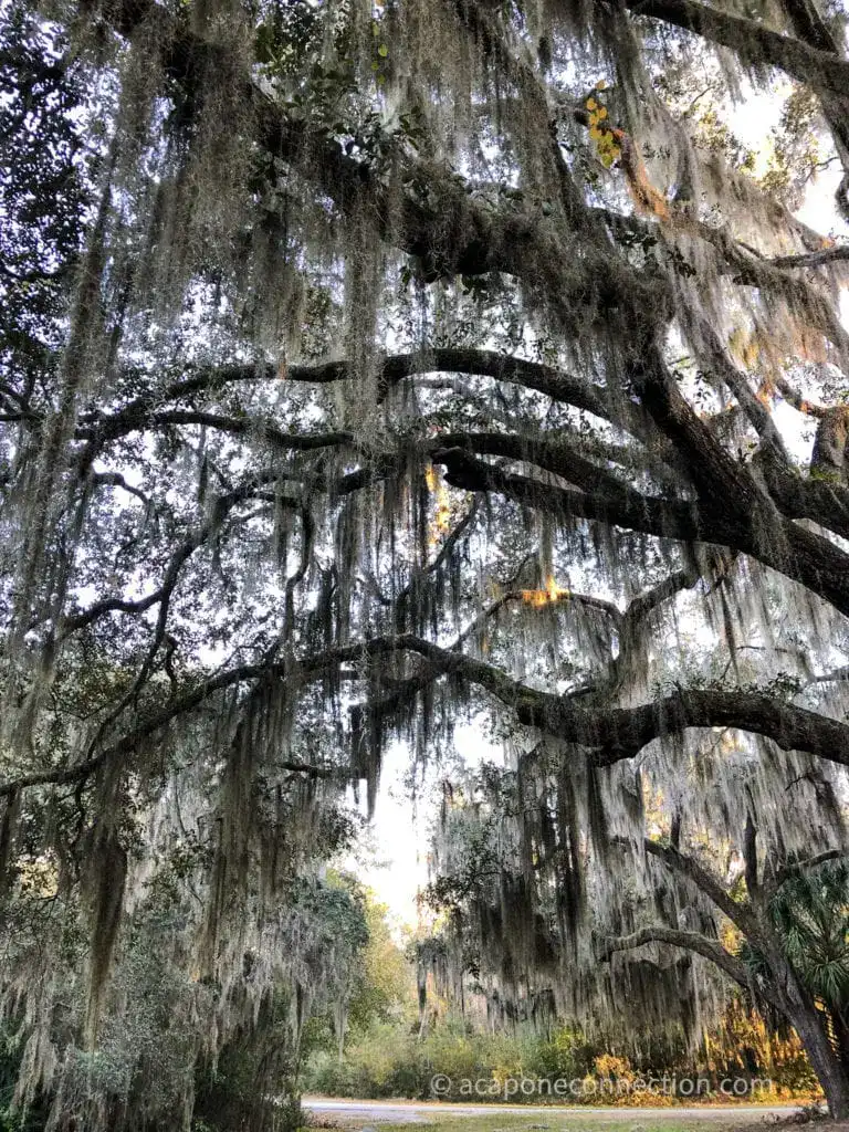 10 Unforgettable things you NEED to do in Savannah Georgia