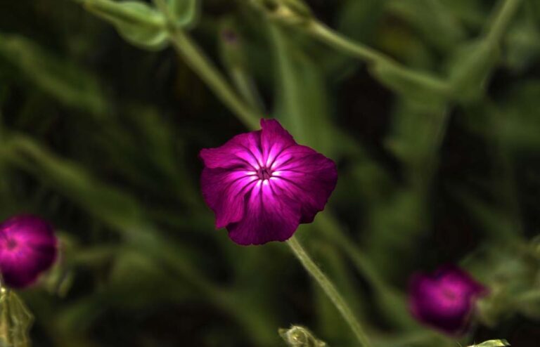 HDR: What is it? - CVHS Photography