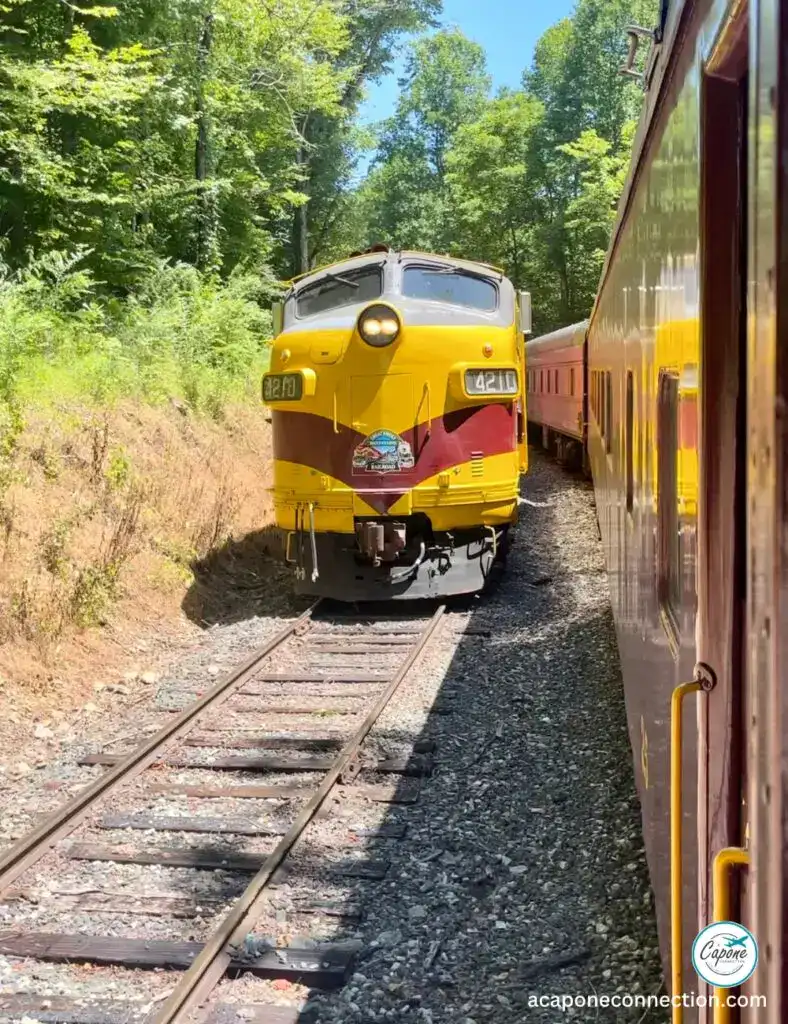 Fun Things to Do in Bryson City, North Carolina