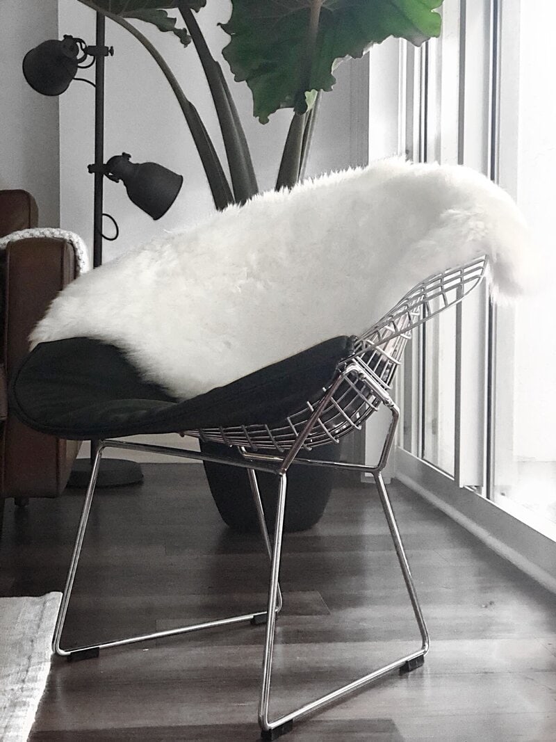 Wire Diamond Chair – Timeless Modern Design | Derlook