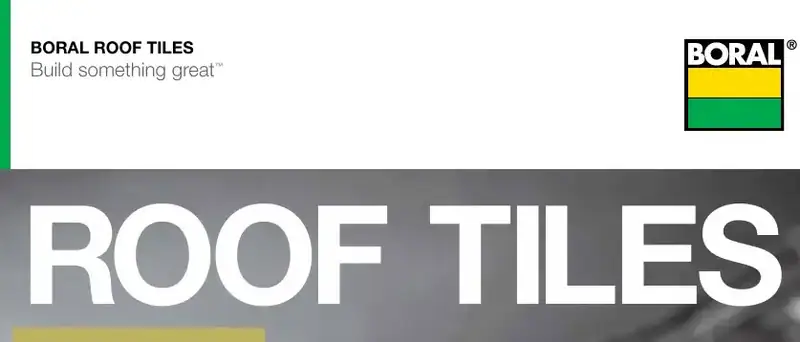 Cool versus Dark Roofs: A detailed Energy Efficiency Debate