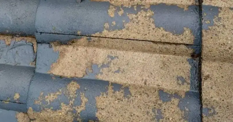 Roof Restoration Mistakes Adelaide: 4 Fixable Failures