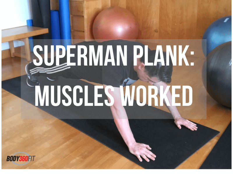 superman exercise muscles worked
