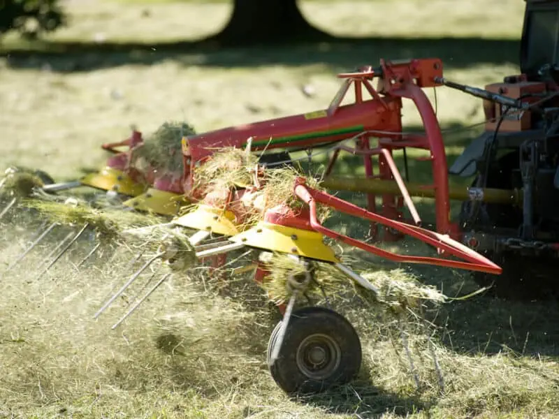 When Is The Best Time To Make Hay? - Cutting and Baling Guide