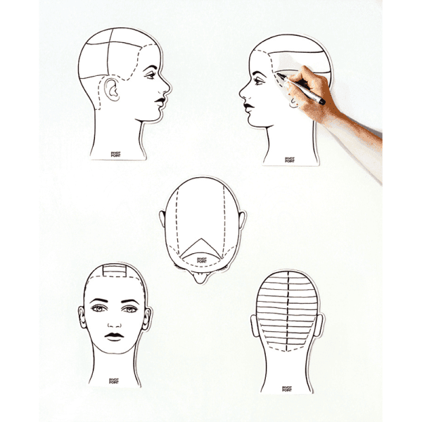 Ladies Sketch Heads Diagram - Pivot Point International