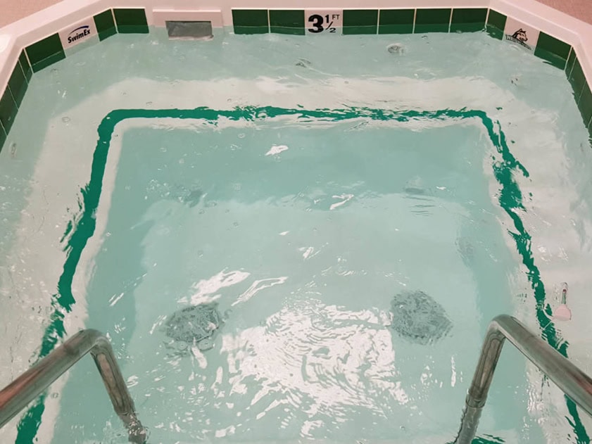 Plunge Pool - Hot or Cold - Prefab 5 Sizes - SwimEx