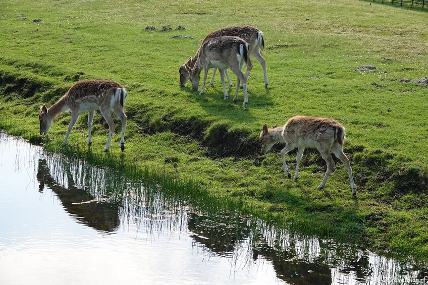 Wandelen over Buitenplaats Elswout in Overveen - JTravelBlog