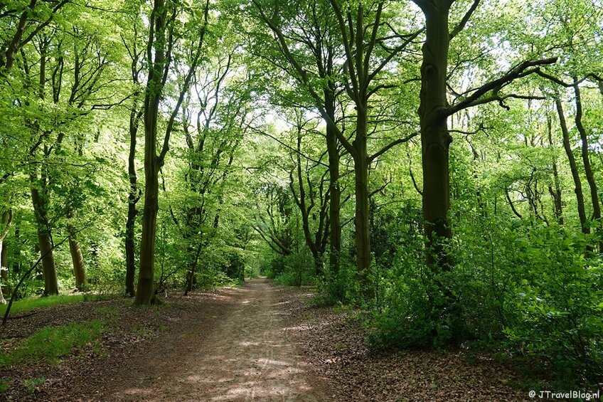 Wandelen over Buitenplaats Elswout in Overveen - JTravelBlog