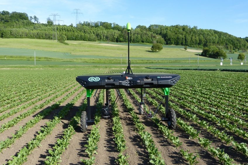 ecoRobotix plans spot spraying robot for weed control - Future Farming