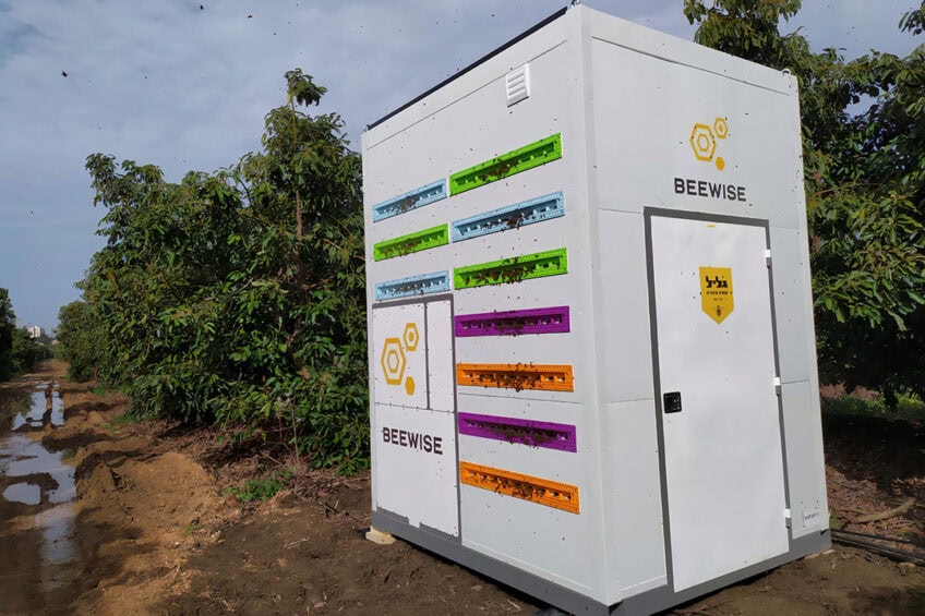 Australia and New Zealand next for smart Beehome - Future Farming