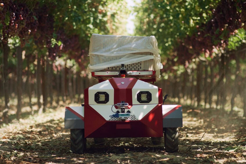Future Acres and Sun World partner to automate harvest - Future Farming
