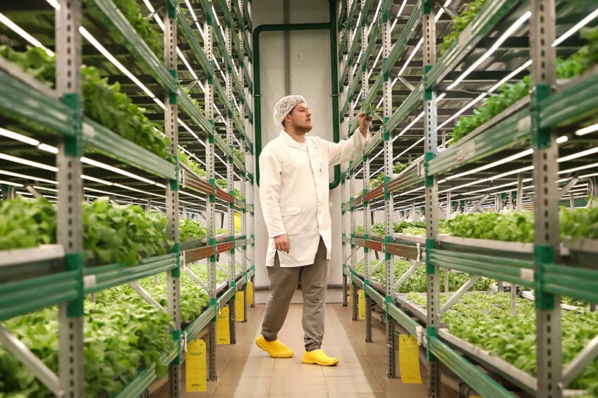 “Vertical farming needs to expand with fruiting crops” - Future Farming