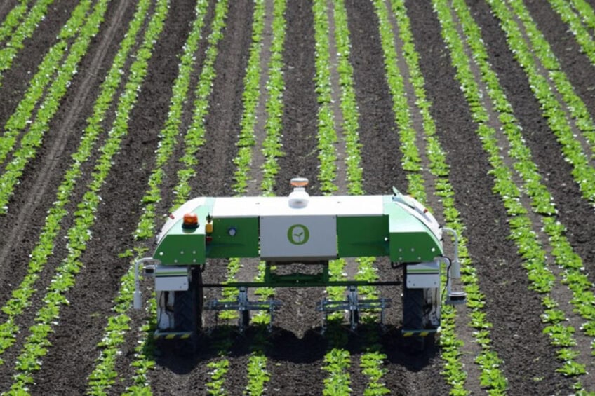IDTechEx: Market size of weeding robots to increase 11-fold in five ...