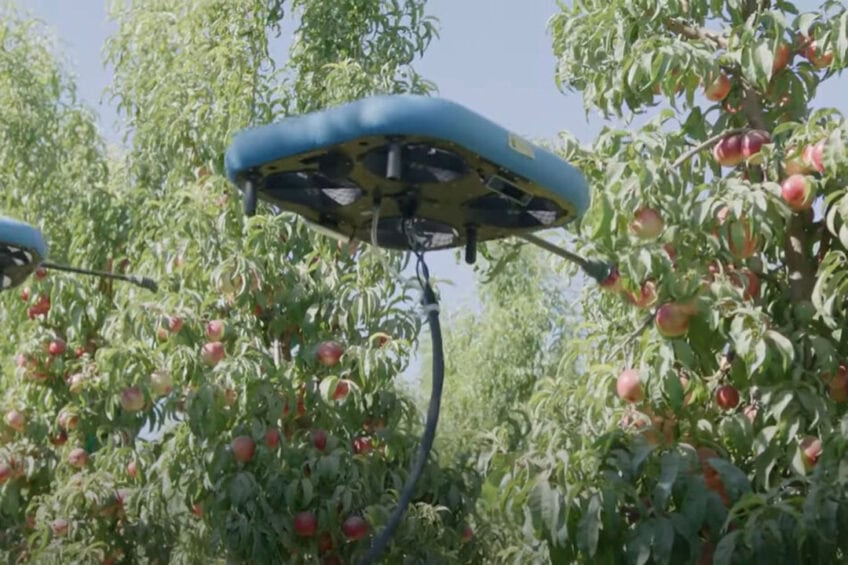 HMC Farms: ag tech is about making jobs better - Future Farming