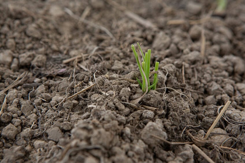 Regen Ag Lab opens DNA soil testing technology for farmers - Future Farming